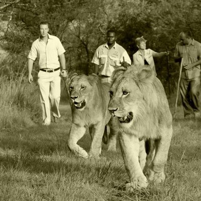 10 Wildlife Attractions To Avoid
