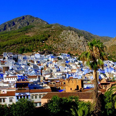 Hash, Goat Cheese & Misadventures in Morocco