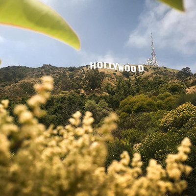 6 Things To Avoid When Visiting the United States