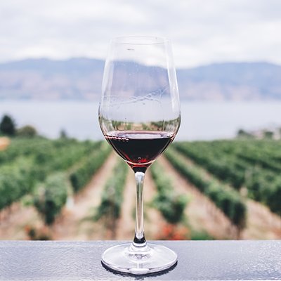 Vineyard Ventures: A Guide to Unforgettable Winery Tours and Tastings